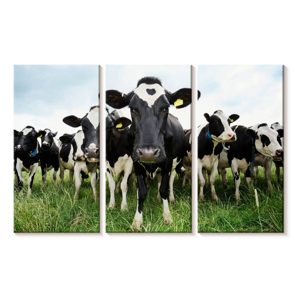 Elephant Stock Holstein Cows Wall Art - Horizontal Multi Panel Canvas ...