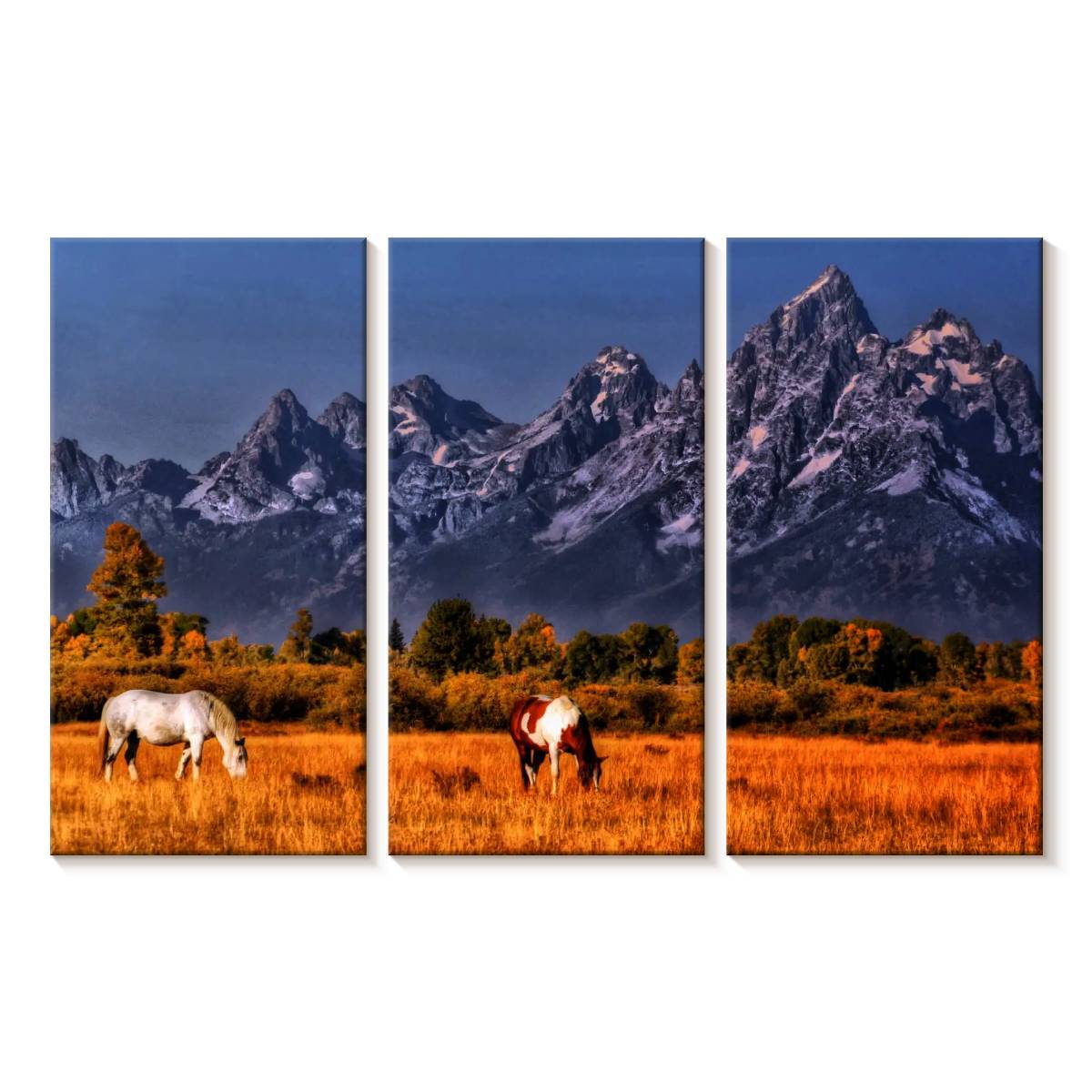 Elephant Stock Horses Grazing At Grand Teton Wall Art - Horizontal ...
