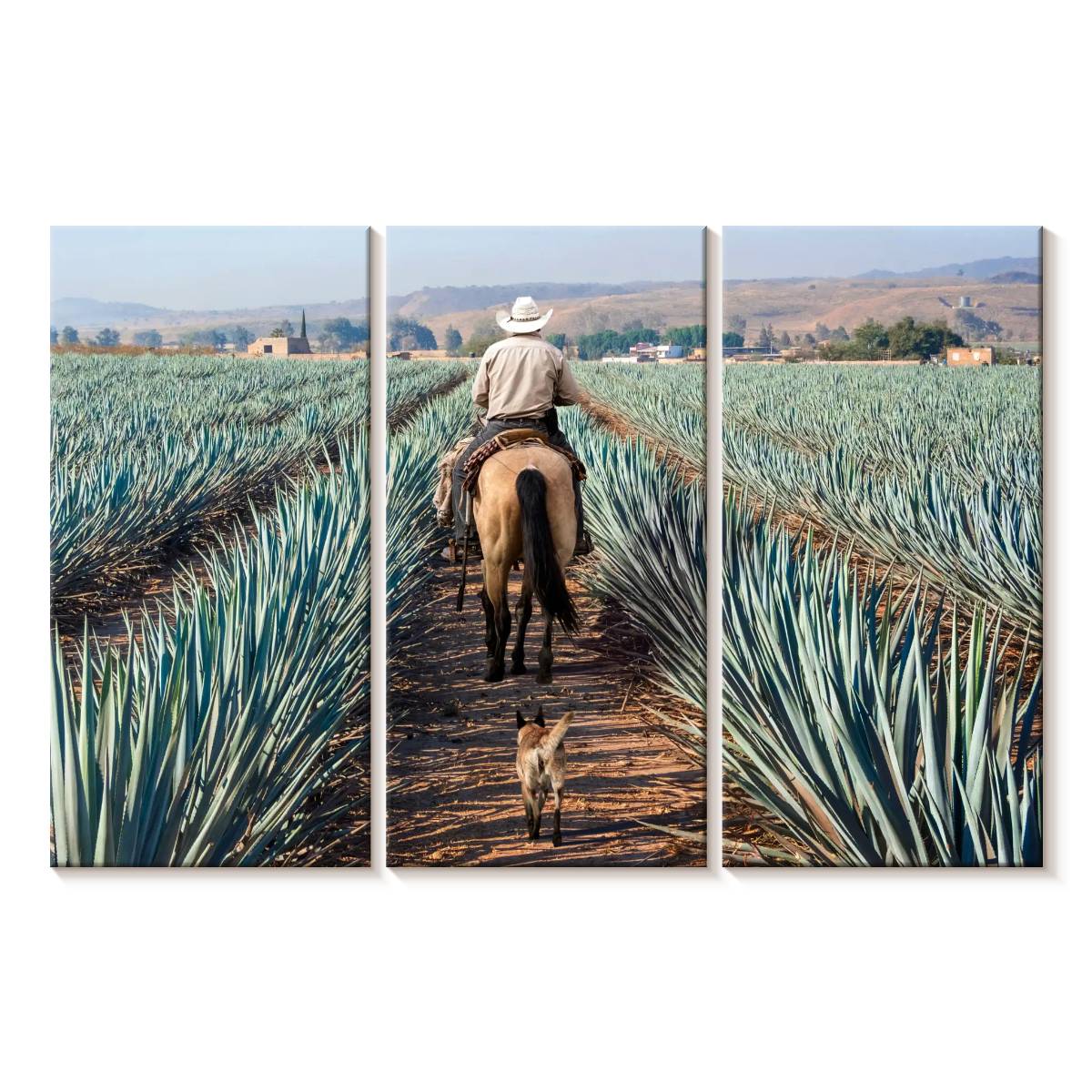 Elephant Stock Inspecting Agave Plantation Wall Art - Horizontal Multi ...