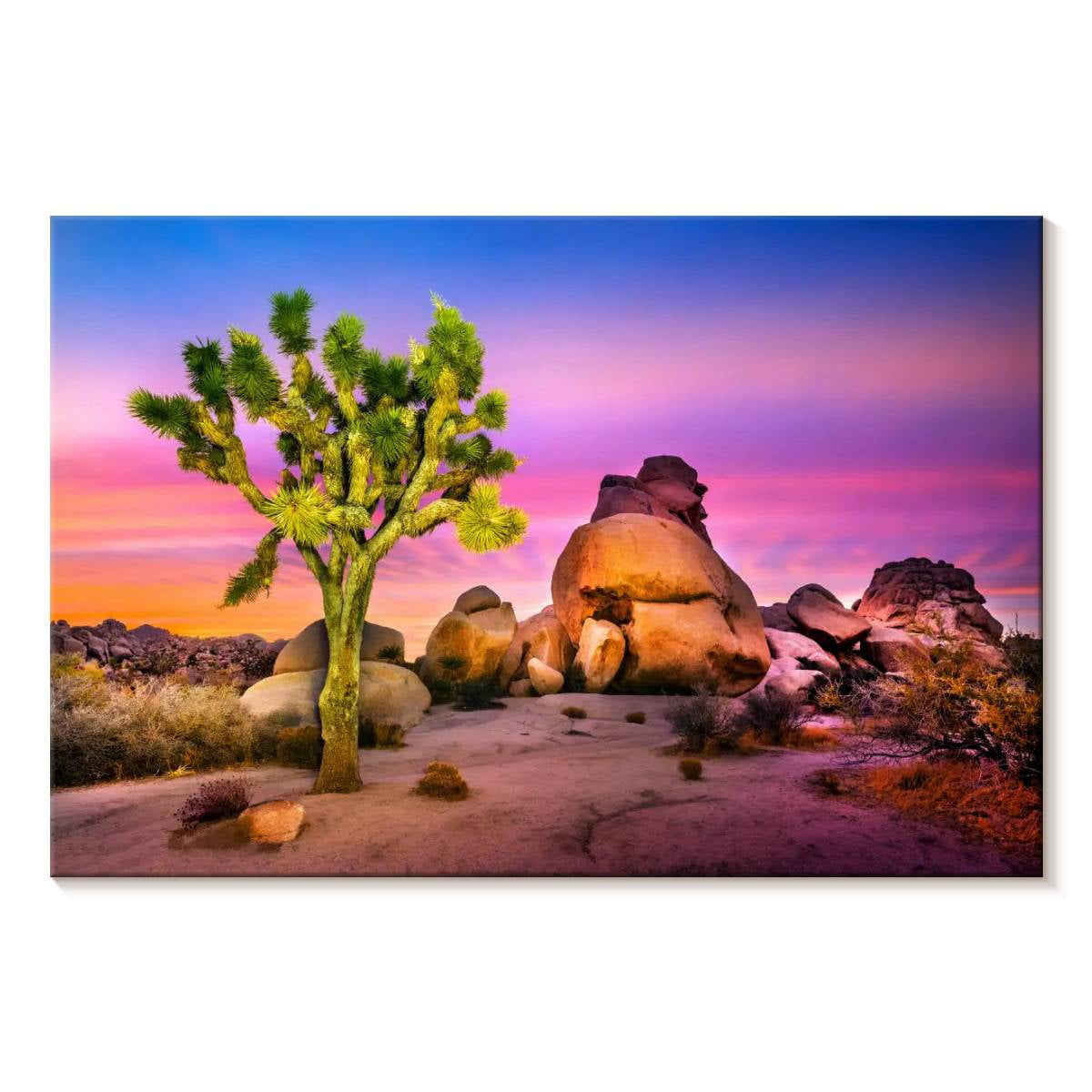 Elephant Stock Joshua Tree National Park Iv Wall Art - Horizontal ...