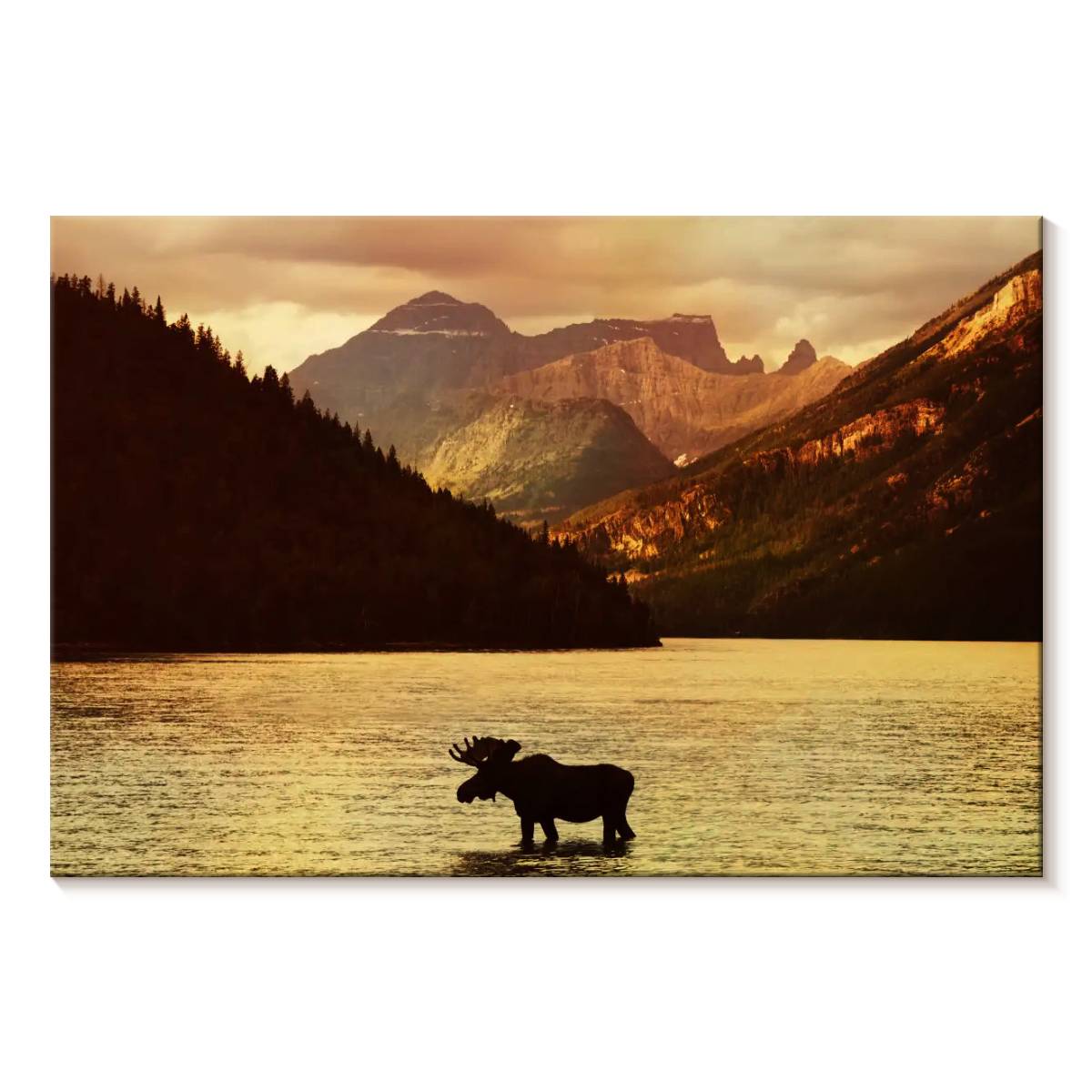 Elephant Stock Lake Moose Wall Art - Horizontal Canvas Wall Art ...