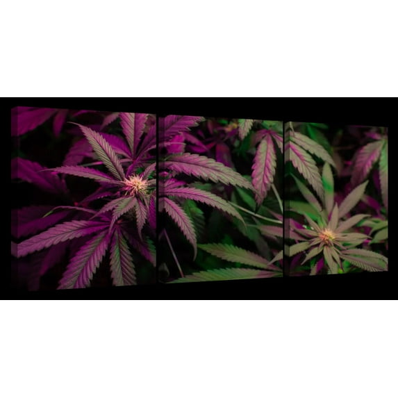 Elephant Stock Lavander Marijuana Wall Art - Horizontal Multi Panel ...