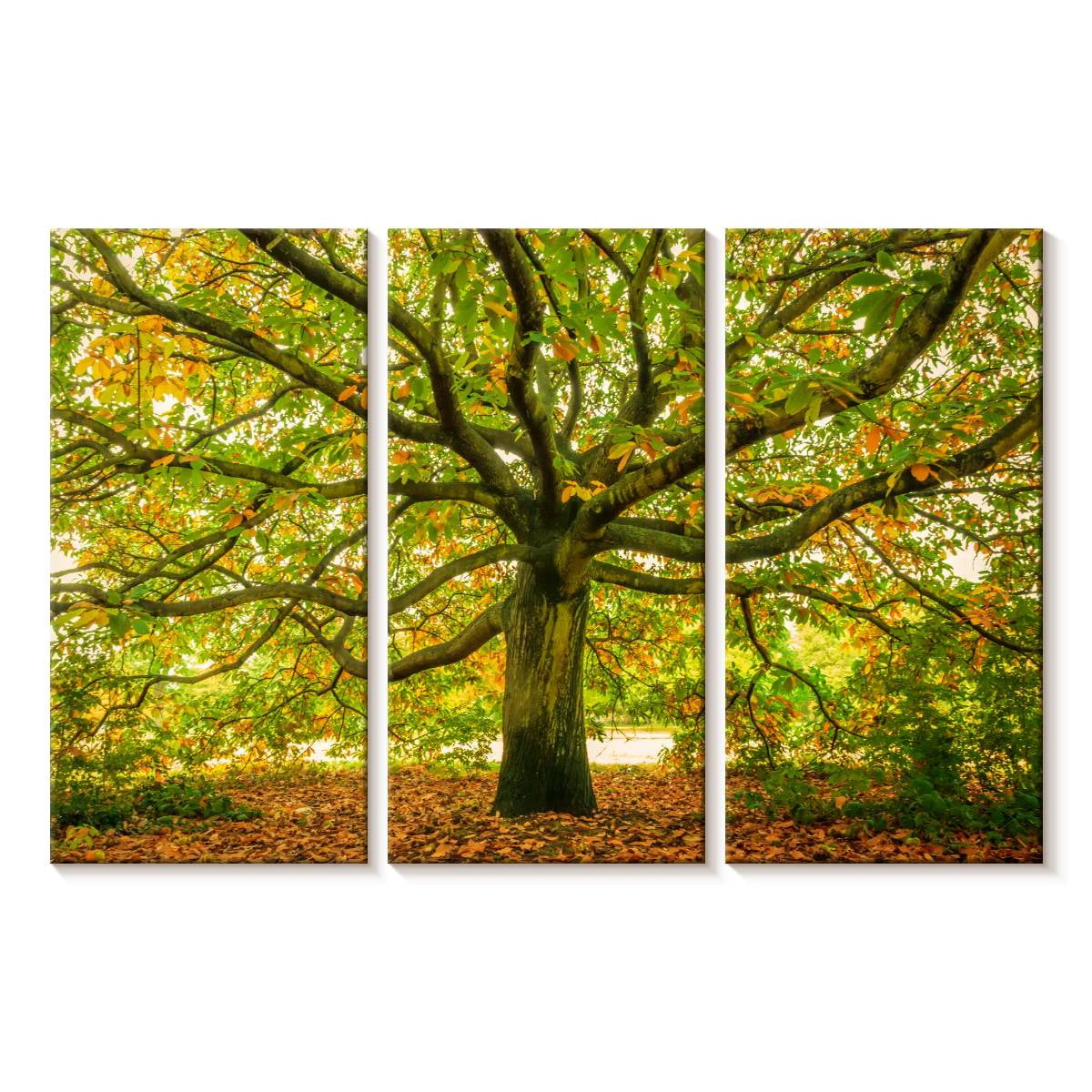 Elephant Stock London Oak Tree Wall Art - Horizontal Multi Panel Canvas ...