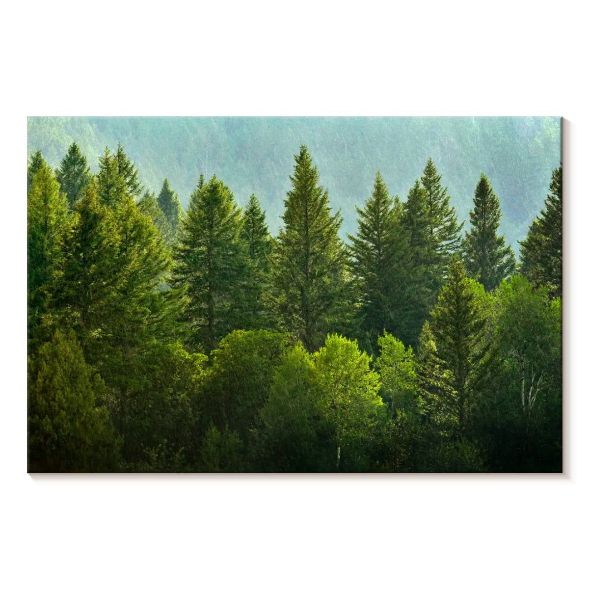 Elephant Stock Lush Green Pine Trees Wall Art - Horizontal Canvas Wall ...