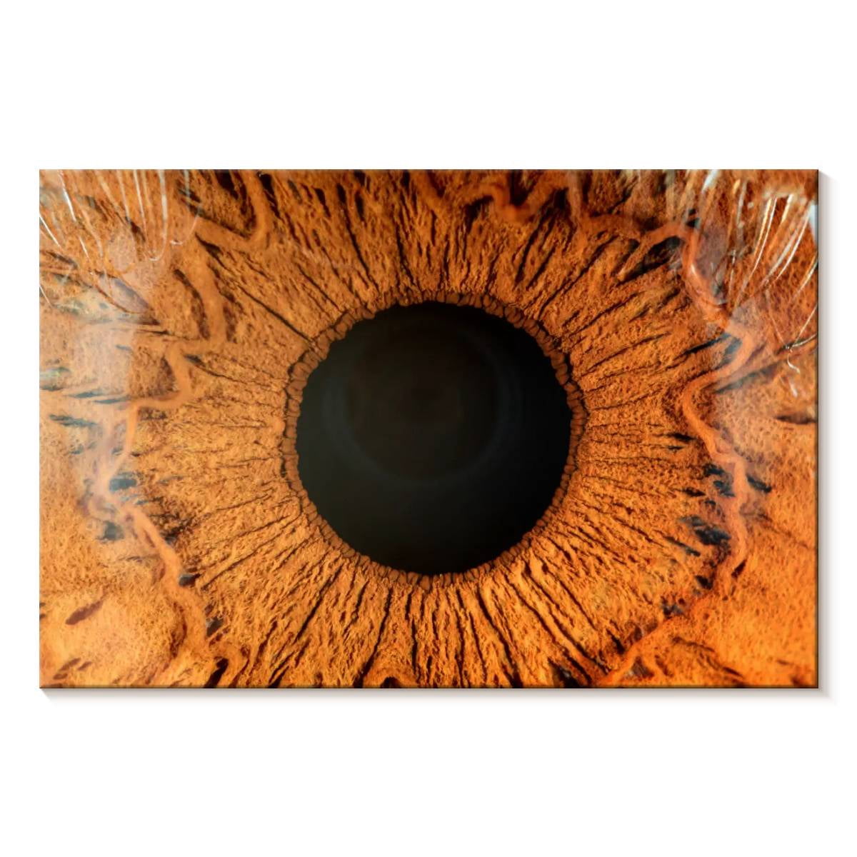 Elephant Stock Magnified Human Eye Wall Art - Horizontal Canvas Wall ...