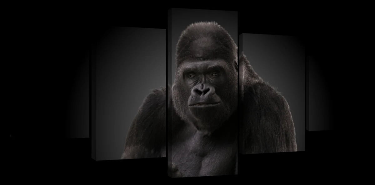 Elephant Stock Male Silverback Gorilla Wall Art - Horizontal Multi ...