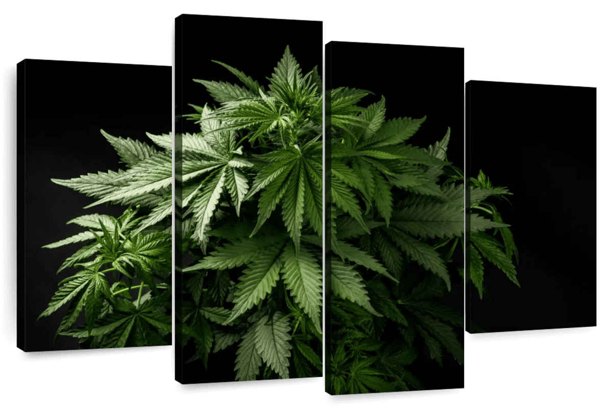 Elephant Stock Marijuana Cluster Wall Art - Horizontal Multi Panel ...