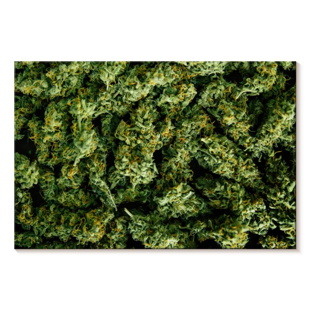 Elephant Stock Marijuana Flower Buds Wall Art - Horizontal Canvas Wall ...