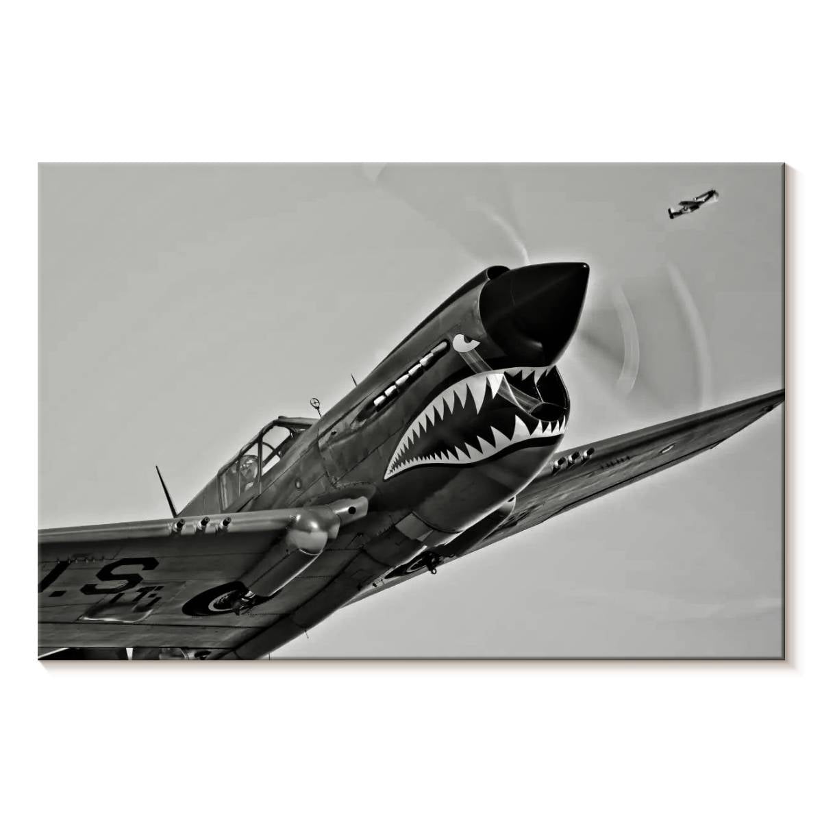 Elephant Stock Monochrome Military Plane Wall Art - Horizontal Canvas ...