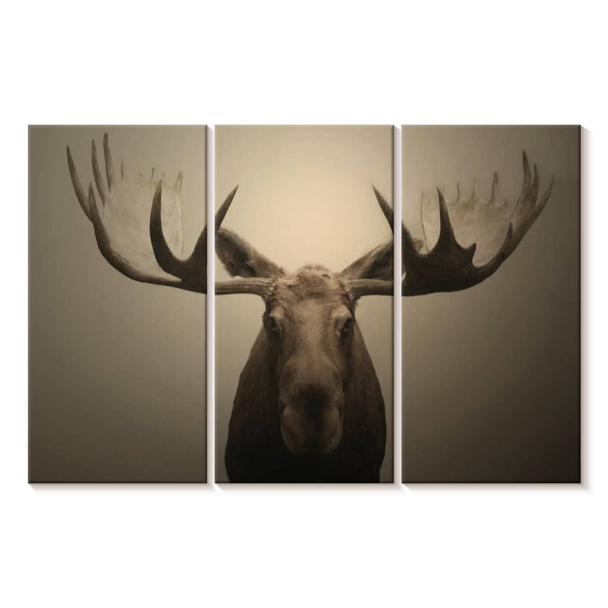 Elephant Stock Moose Portrait Wall Art - Horizontal Multi Panel Canvas ...