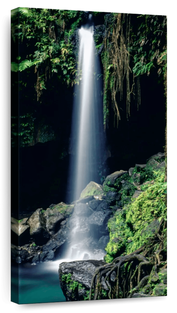 Elephant Stock Morne Trois Pitons Waterfall Wall Art - Nature Canvas ...