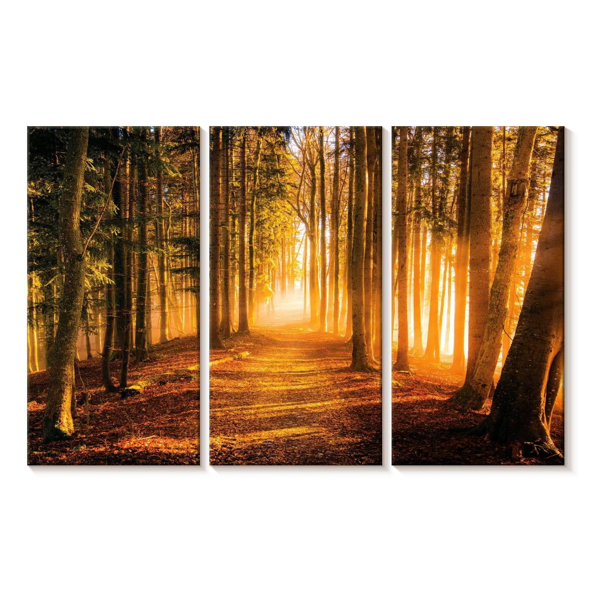 Elephant Stock Morning Forest Path Wall Art - Horizontal Multi Panel ...
