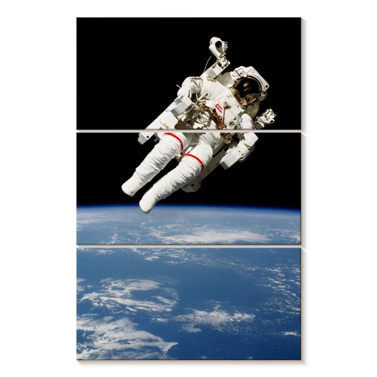 Elephant Stock Nasa Space Mission I Wall Art - Vertical Multi Panel ...
