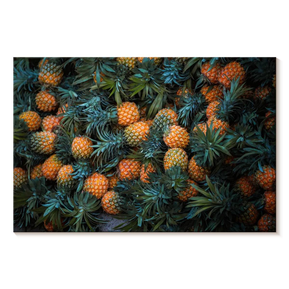 Elephant Stock Newly Harvested Pineapples Wall Art - Horizontal Canvas ...