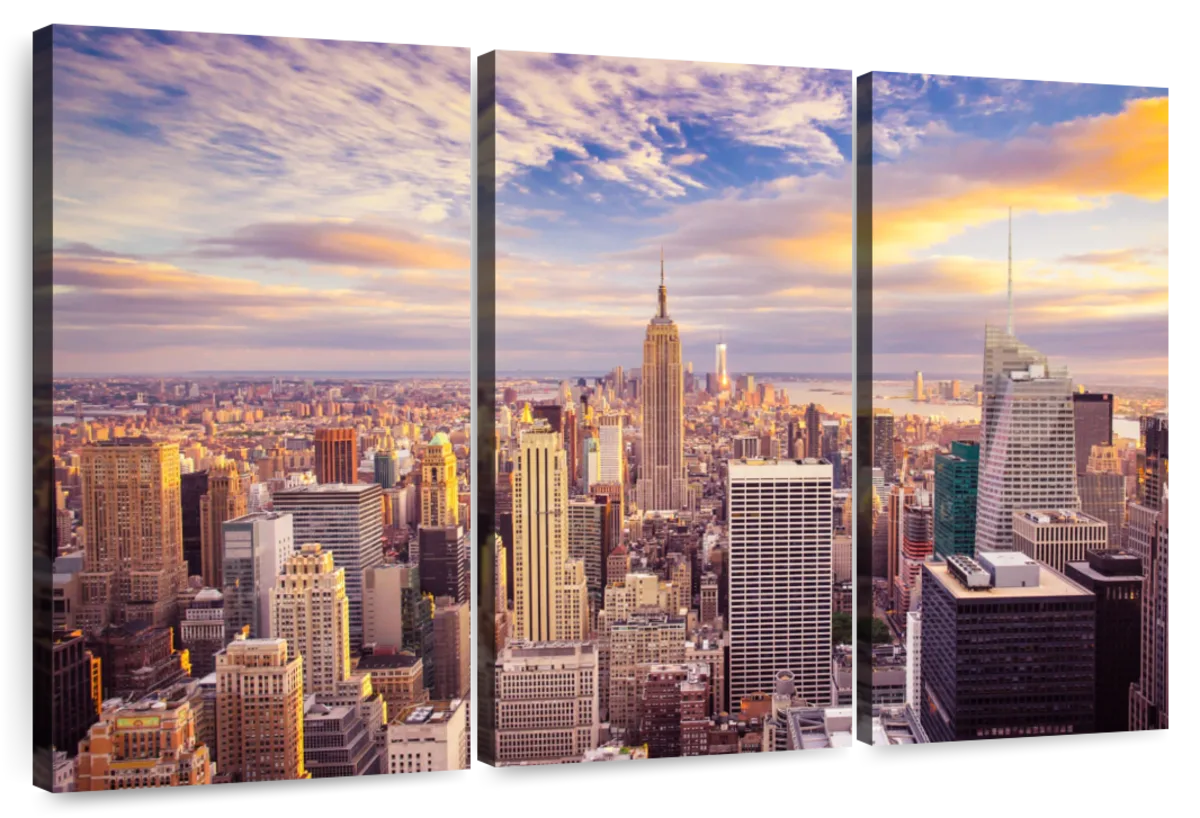 Elephant Stock Ny From Above Wall Art - City Multi Panel Canvas - 57" x ...