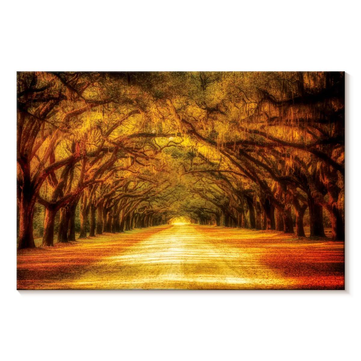 Elephant Stock Oak Tree Road Wall Art - Horizontal Canvas Wall Art ...