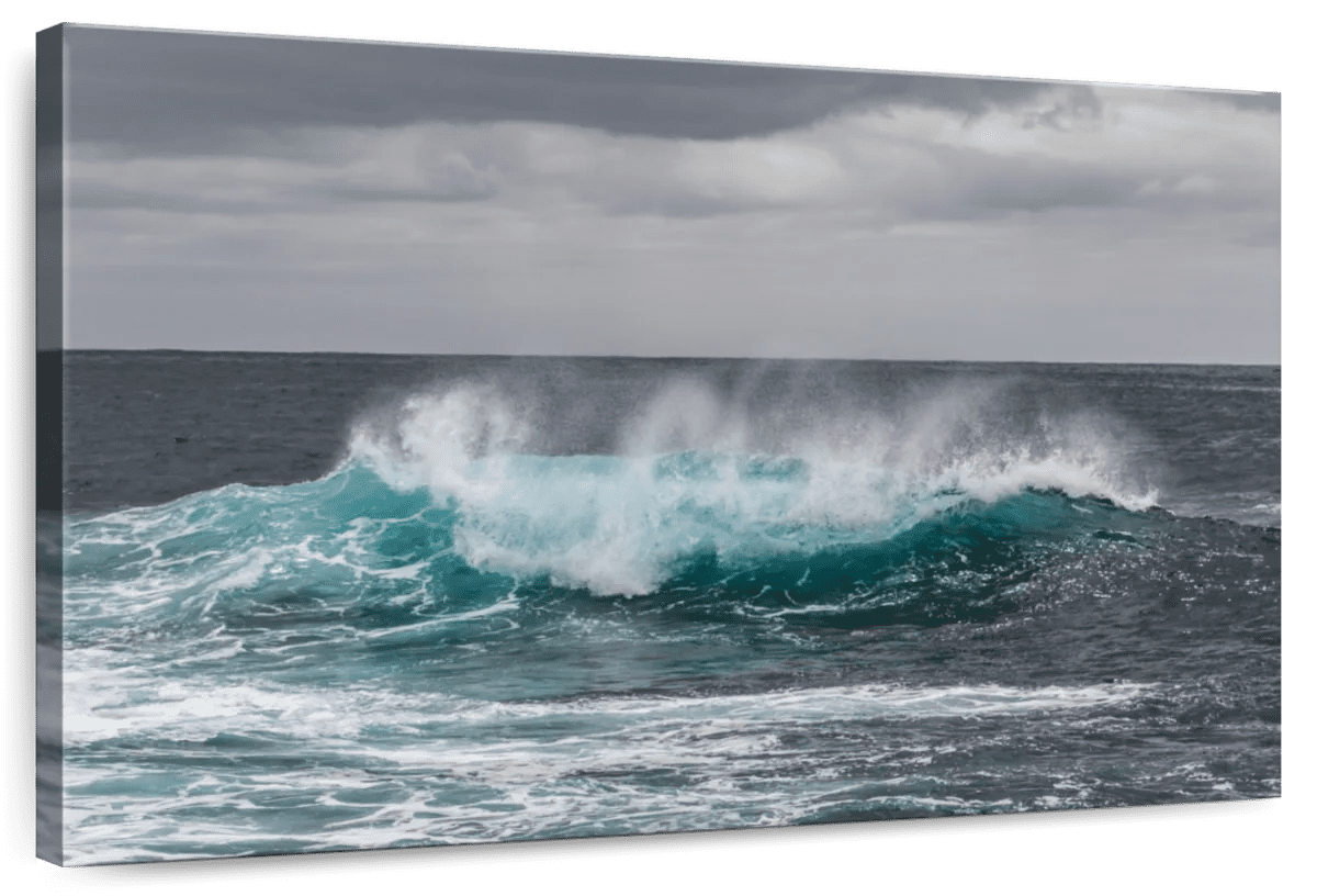 Elephant Stock Ocean Wave Pop Wall Art - Beach Canvas Canvas - 48" x 32 ...