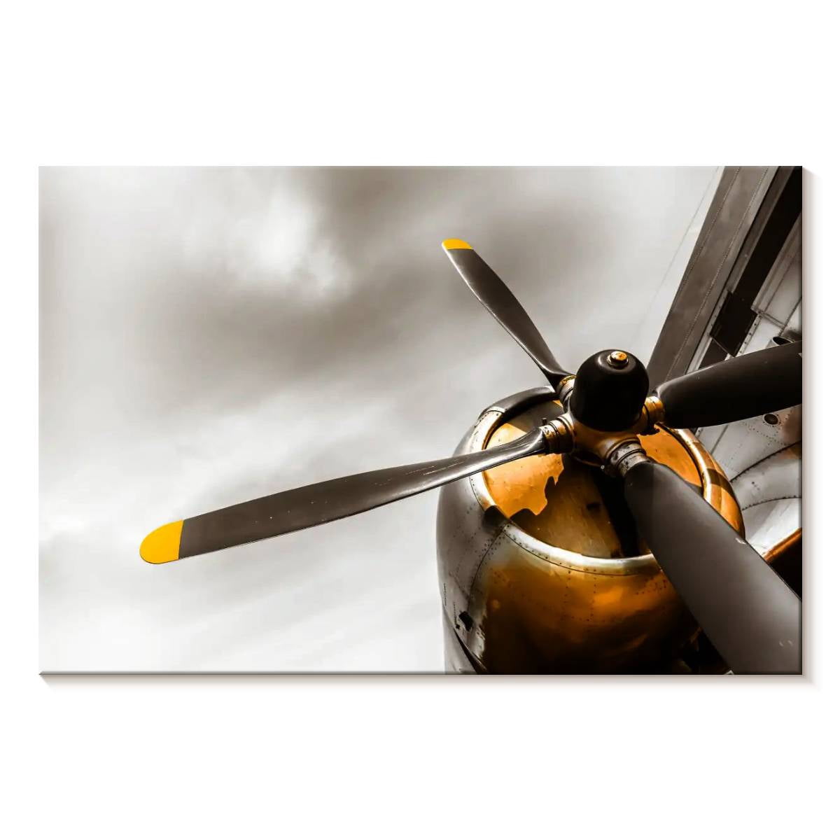 Elephant Stock Old Propeller Wall Art - Horizontal Canvas Wall Art ...