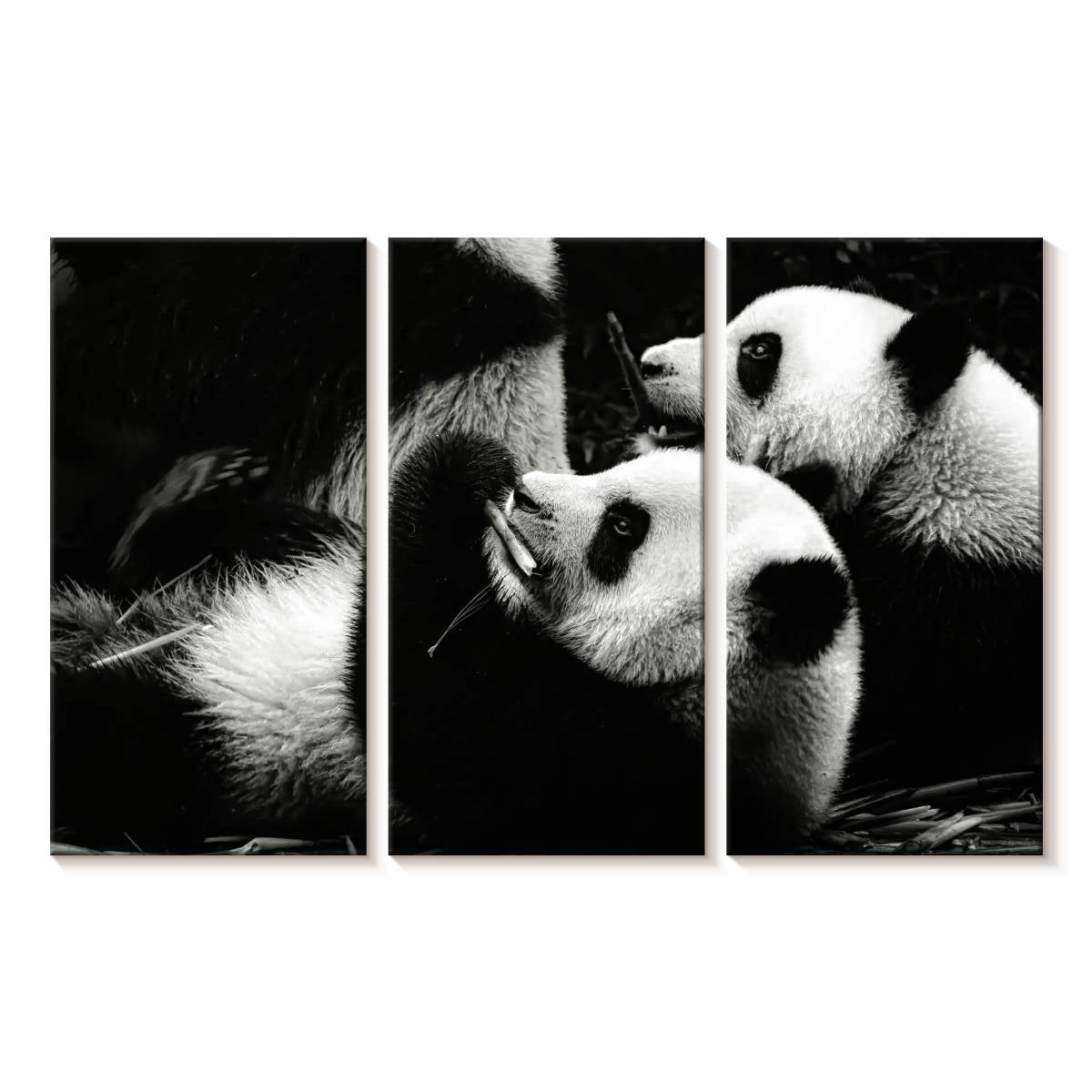 Elephant Stock Panda Cubs Wall Art - Horizontal Multi Panel Canvas - 3 ...