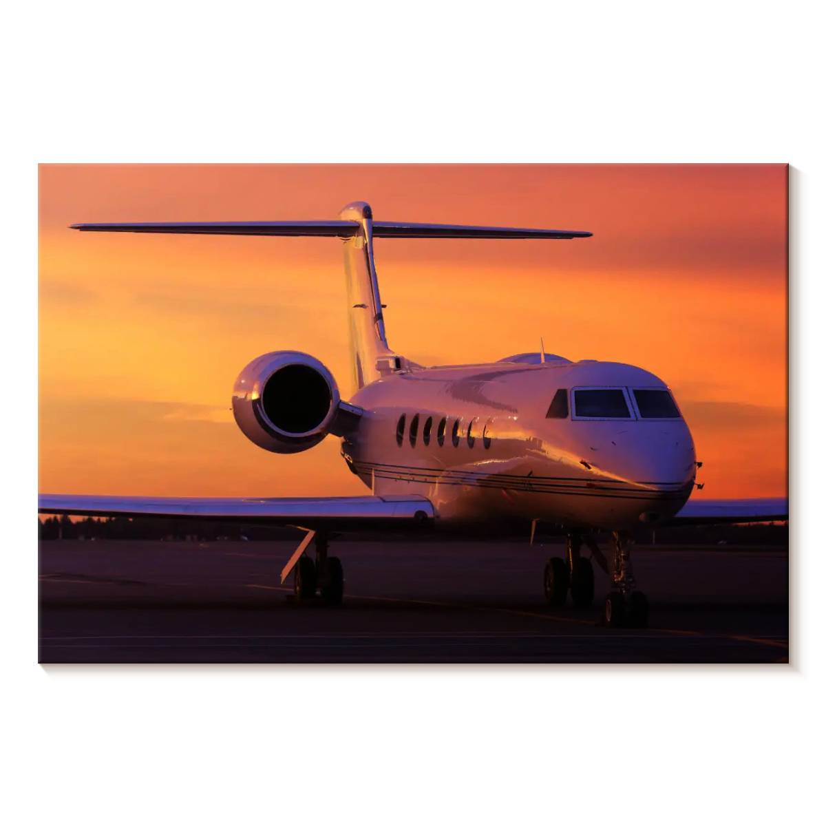 Elephant Stock Parked Business Plane Wall Art - Horizontal Canvas Wall ...