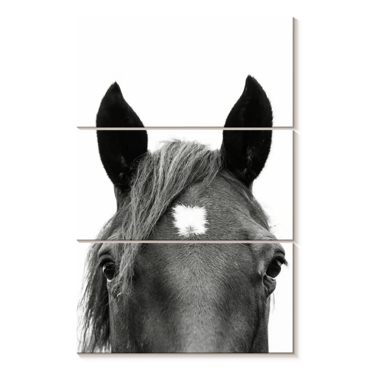 Elephant Stock Peeking Horse In Black And White Wall Art - Vertical Multi Panel Canvas - Living ...