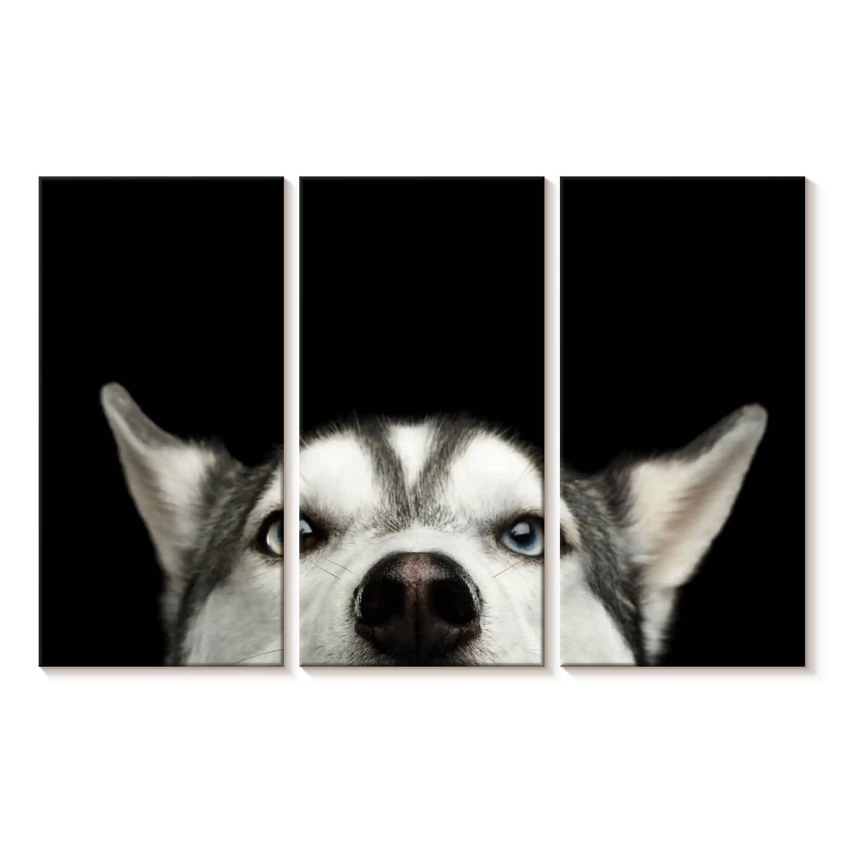 Elephant Stock Peeking Siberian Husky Wall Art - Horizontal Multi Panel ...