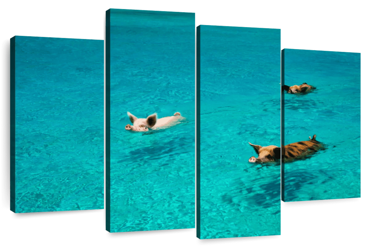 Elephant Stock Pigs In Exuma Cays Wall Art - Horizontal Multi Panel Canvas - Living Room Wall ...