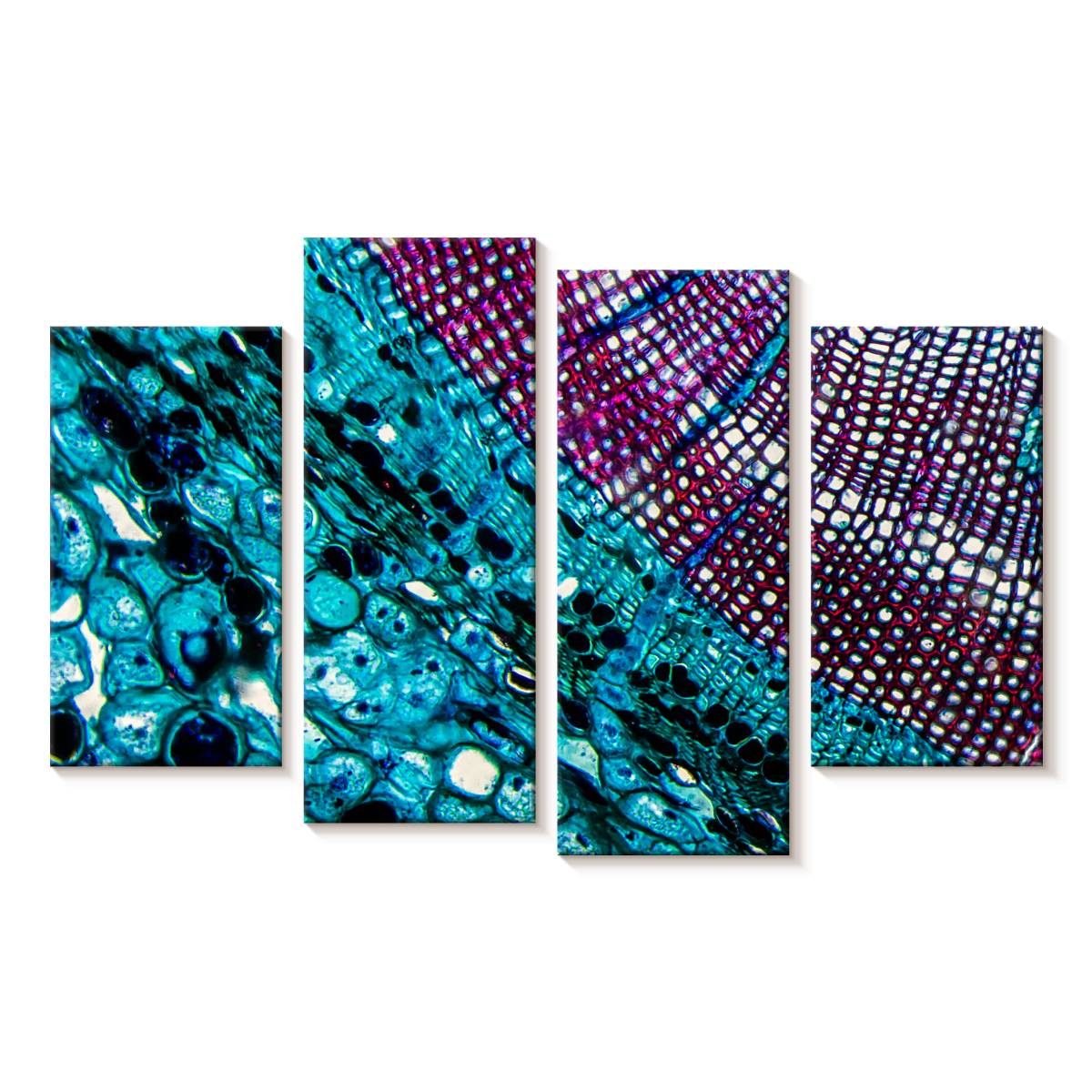 Elephant Stock Pine Stem Under Microscope Wall Art - Horizontal Multi ...