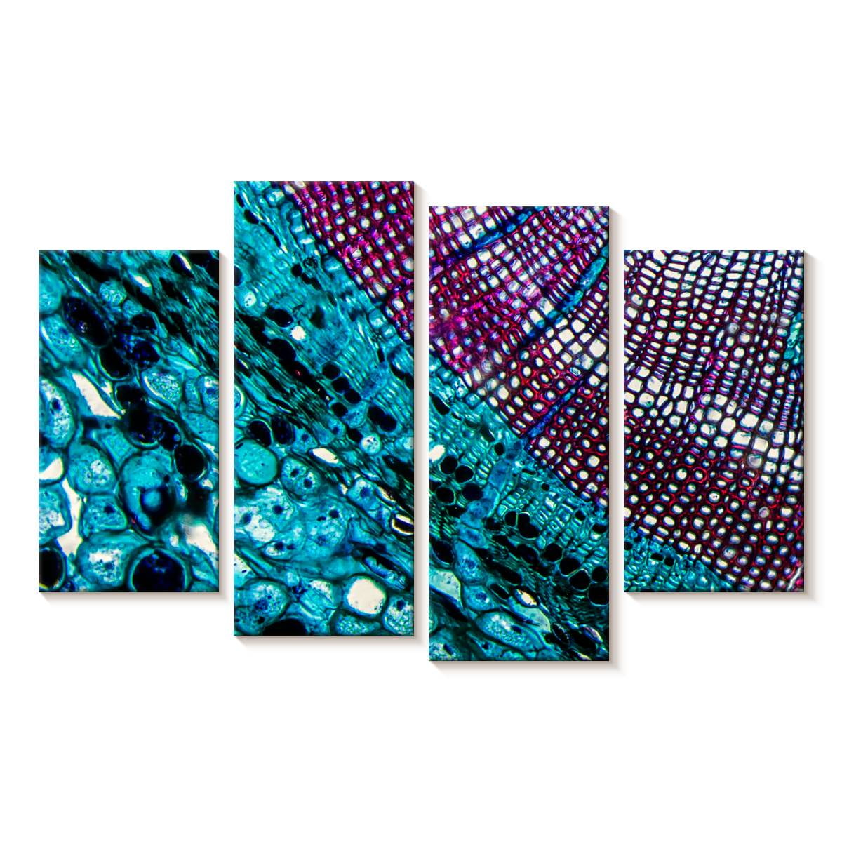 Elephant Stock Pine Stem Under Microscope Wall Art - Horizontal Multi ...