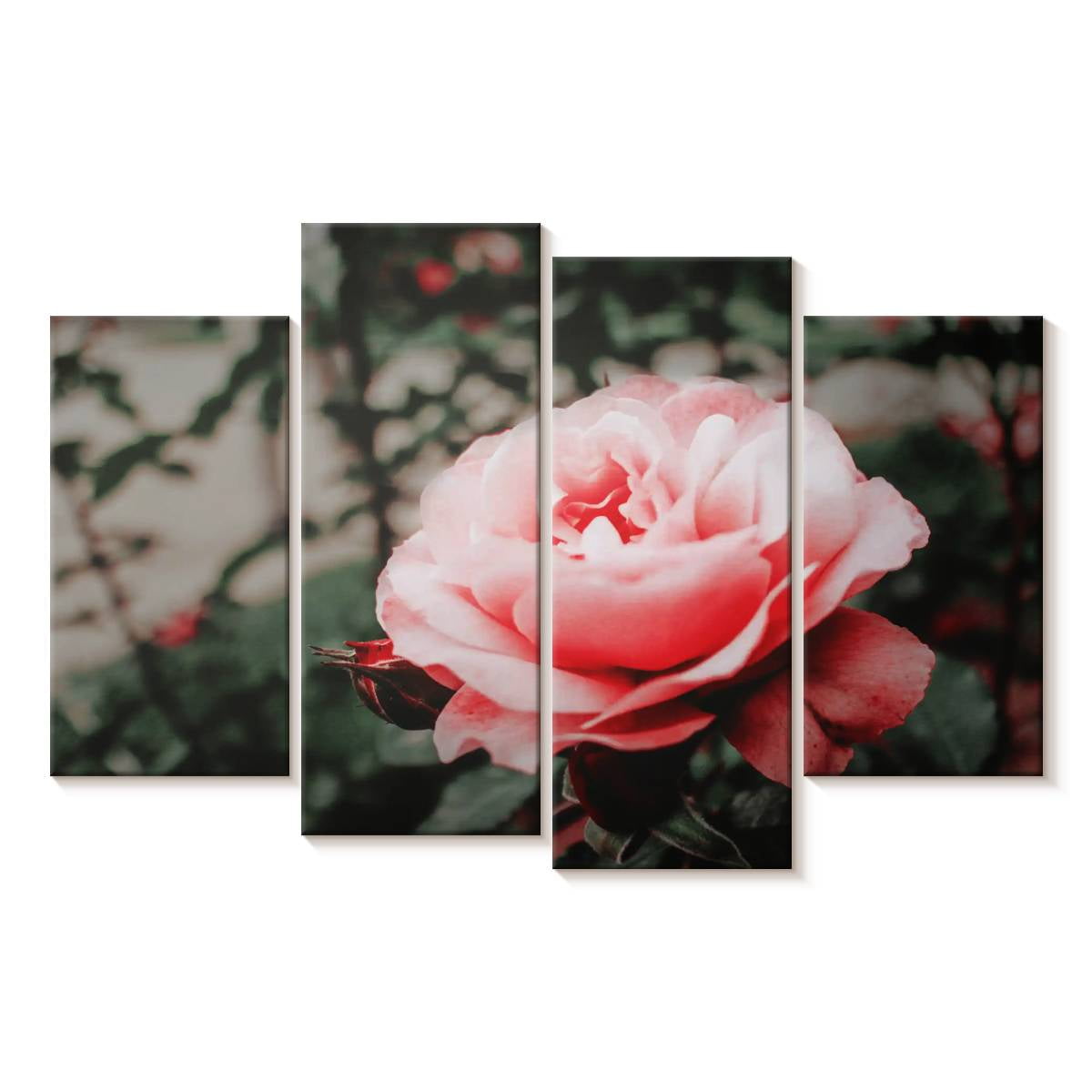 Elephant Stock Pink Rose Wall Art - Horizontal Multi Panel Canvas ...