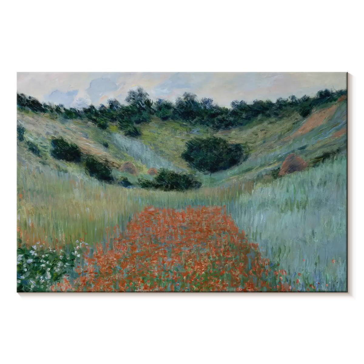 Elephant Stock Poppy Field In A Hollow Near Giverny Ii Wall Art ...