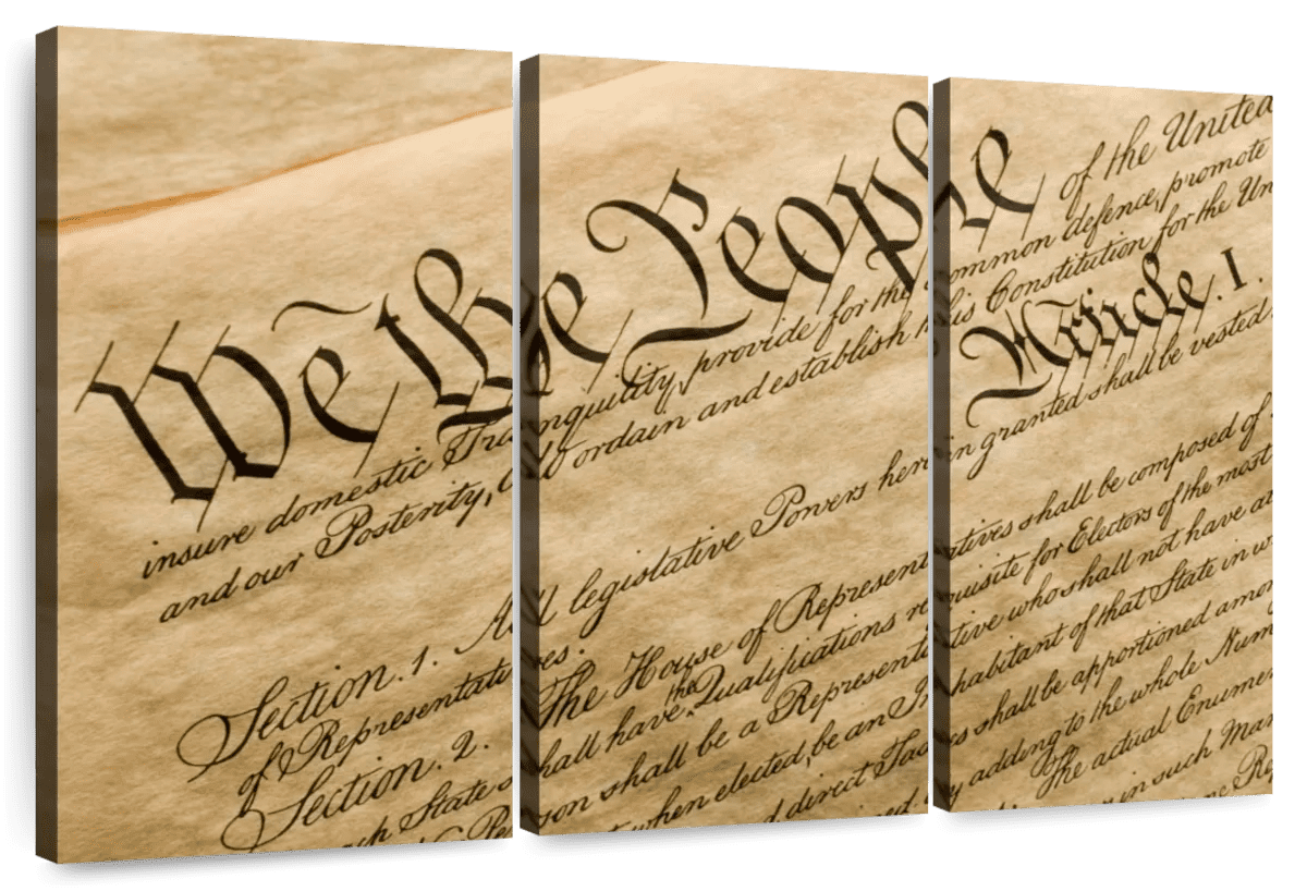 Elephant Stock Preamble To The Constitution Wall Art - Horizontal Multi ...