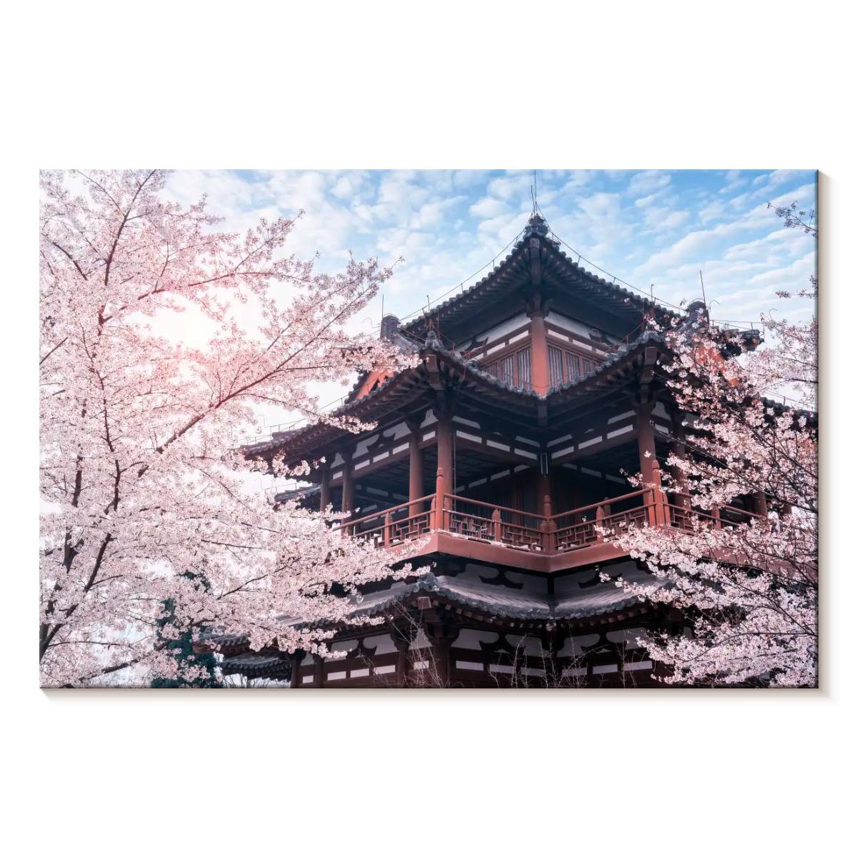 Elephant Stock Qinglong Temple Sakura Wall Art - Horizontal Canvas Wall ...