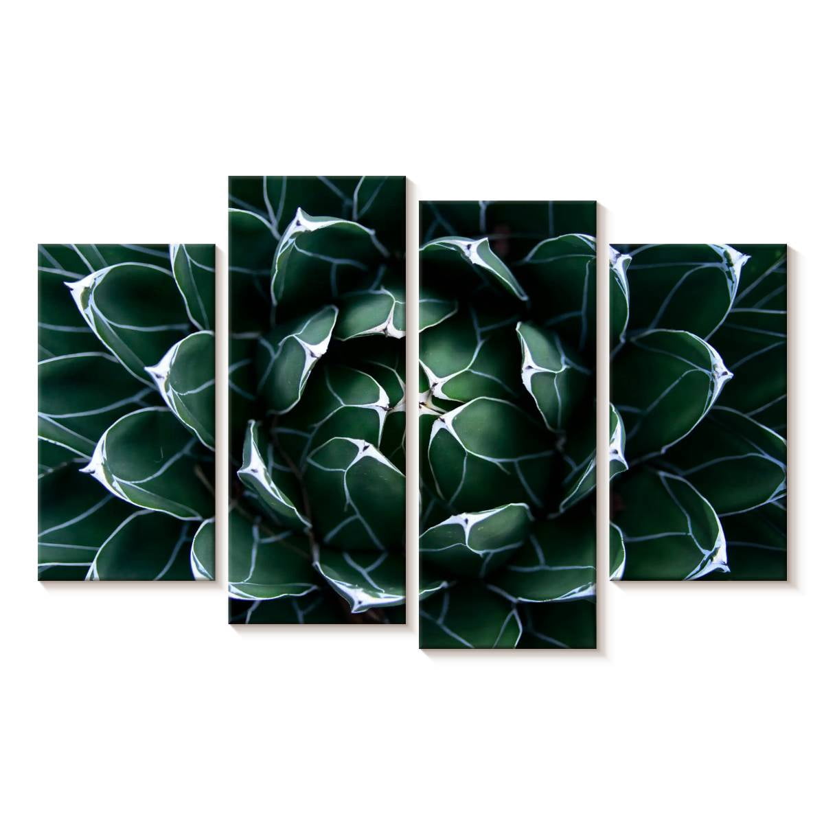 Elephant Stock Queen Victoria Agave Wall Art - Horizontal Multi Panel ...