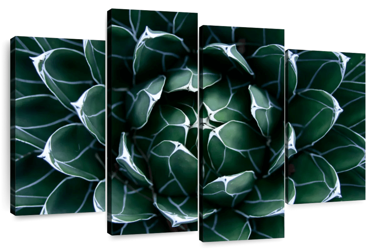 Elephant Stock Queen Victoria Agave Wall Art - Horizontal Multi Panel ...