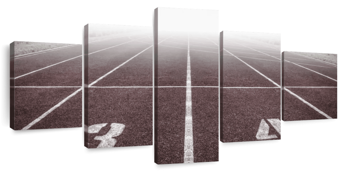Elephant Stock Race Track Wall Art - Horizontal Multi Panel Canvas - 5 ...