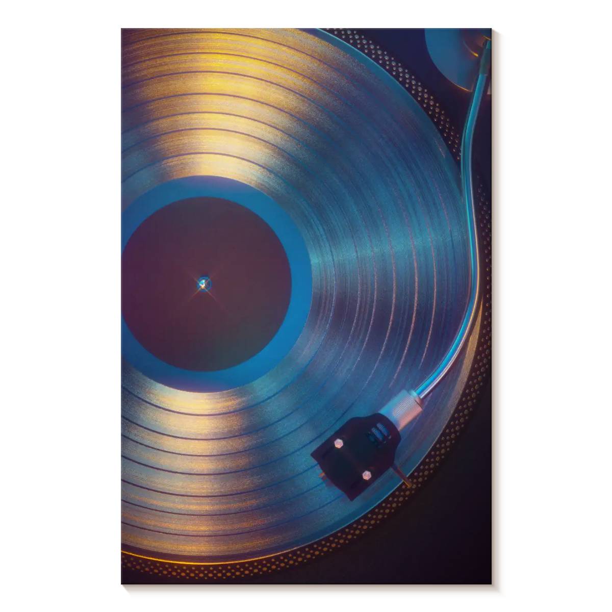 Elephant Stock Record Wall Art - Vertical Canvas Wall Art - Living Room ...