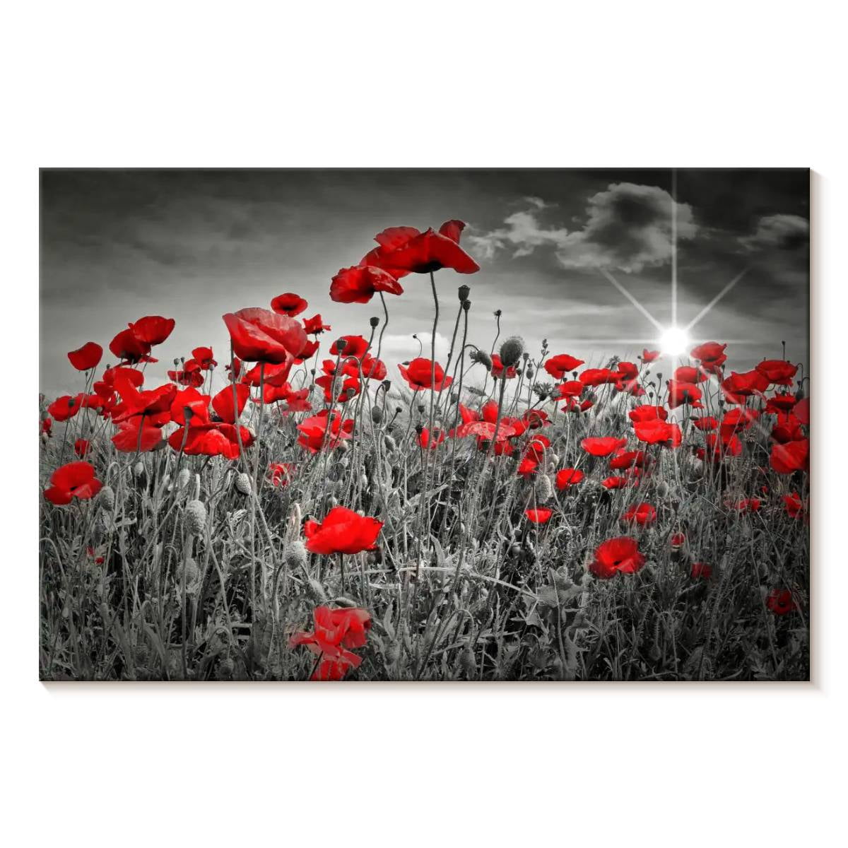 Elephant Stock Red Poppies Pop Wall Art - Horizontal Canvas Wall Art ...