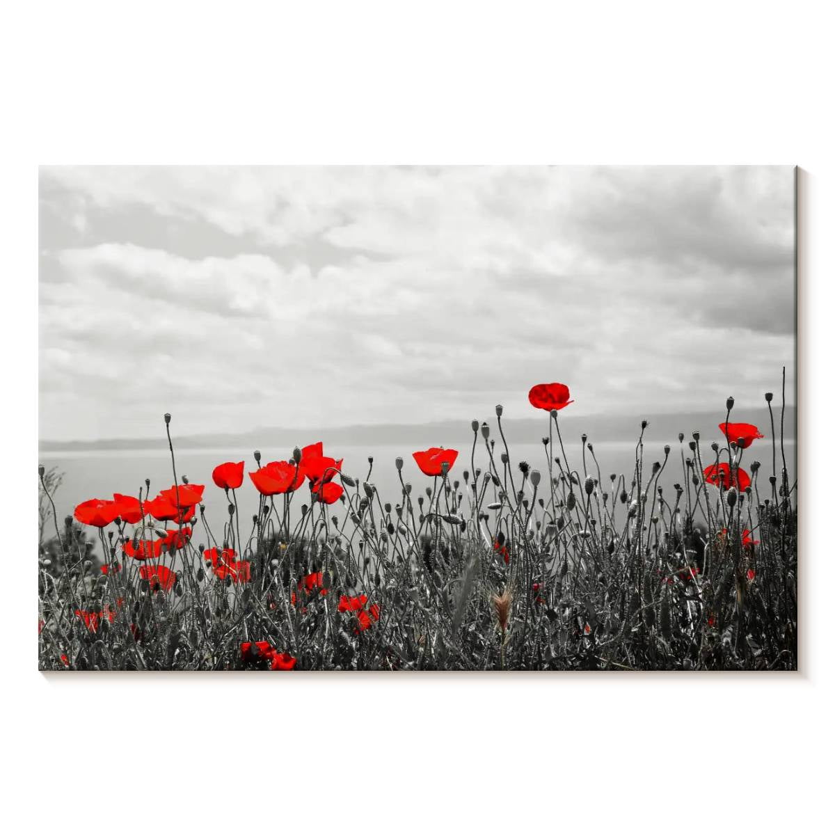 Elephant Stock Red Poppy Field Pop Wall Art - Horizontal Canvas Wall ...