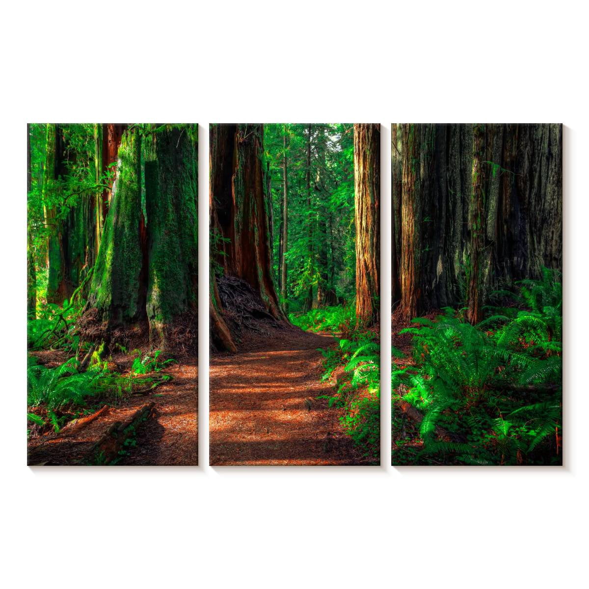 Elephant Stock Redwood Forest Path Wall Art - Horizontal Multi Panel ...