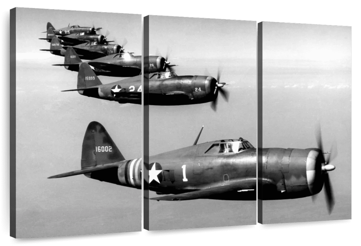 Elephant Stock Republic P-47 Thunderbolt Airplanes Wall Art ...