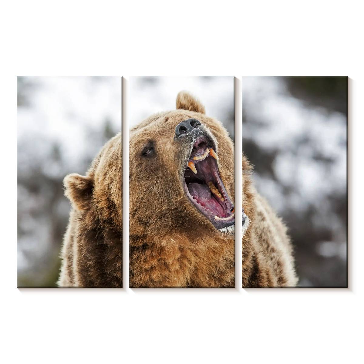 Elephant Stock Roaring Grizzly Bear Wall Art - Horizontal Multi Panel ...