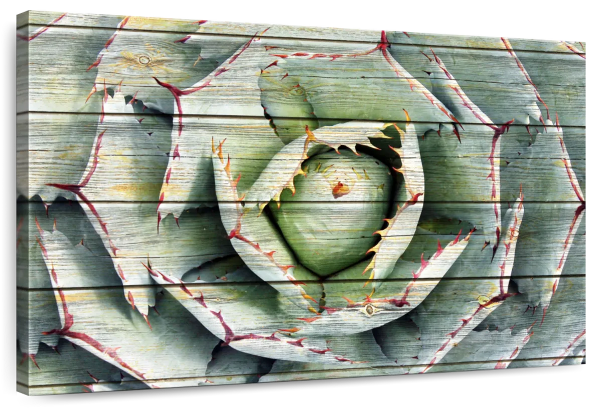 Elephant Stock Rustic Agave Wall Art - Horizontal Canvas Wall Art ...