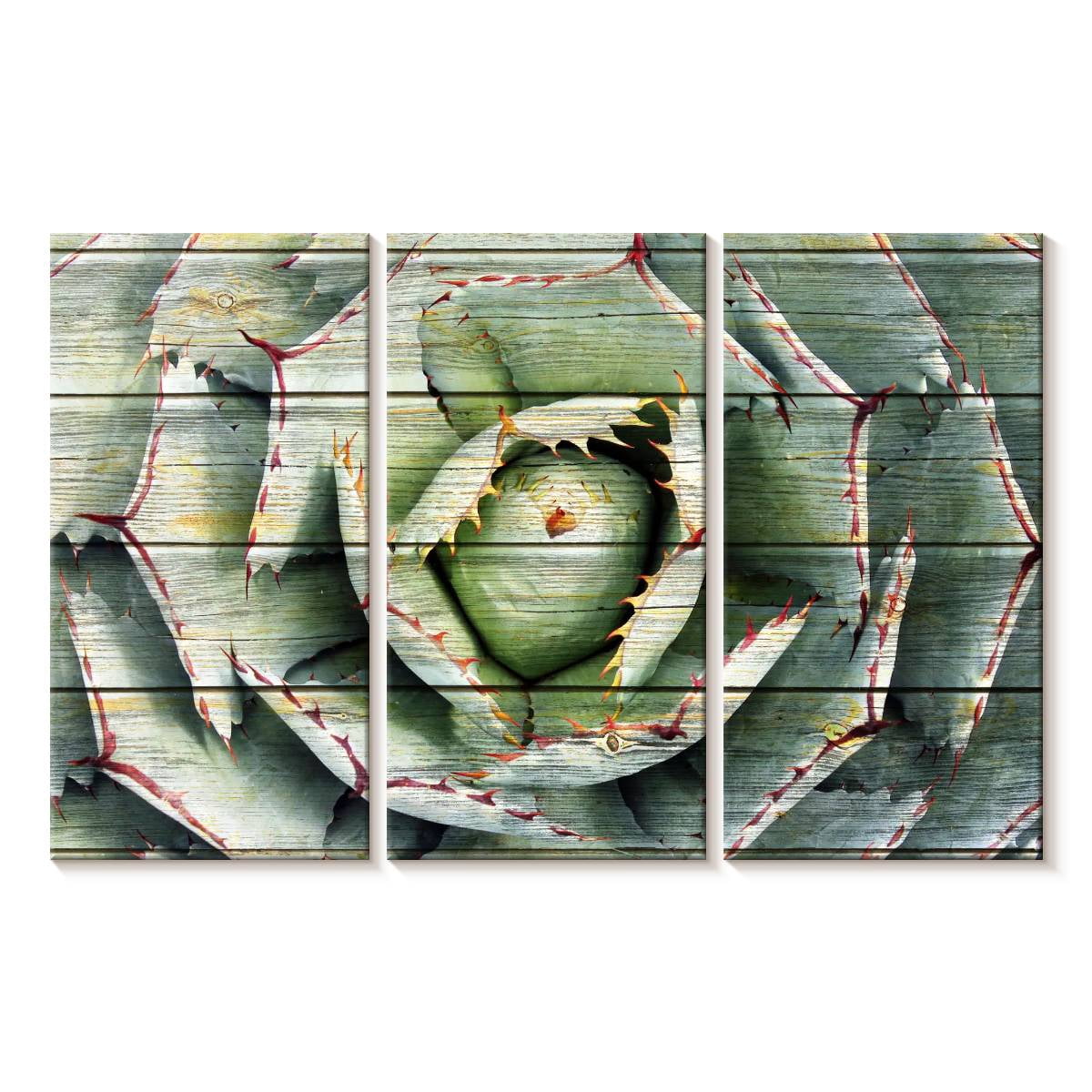 Elephant Stock Rustic Agave Wall Art - Horizontal Multi Panel Canvas ...