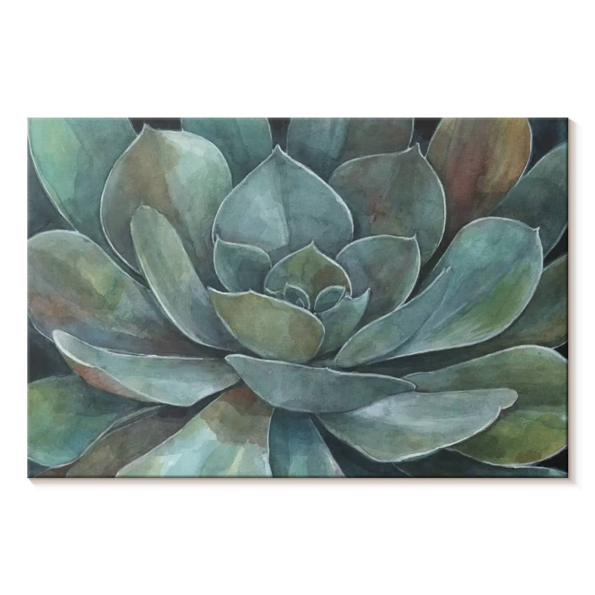 Elephant Stock Rustic Succulent Wall Art - Horizontal Canvas Wall Art ...