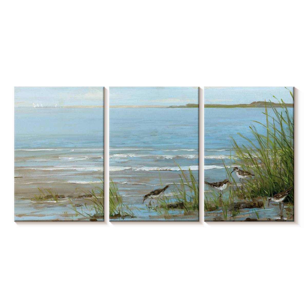 Elephant Stock Sandpiper Beach Wall Art - Horizontal Multi Panel Canvas ...