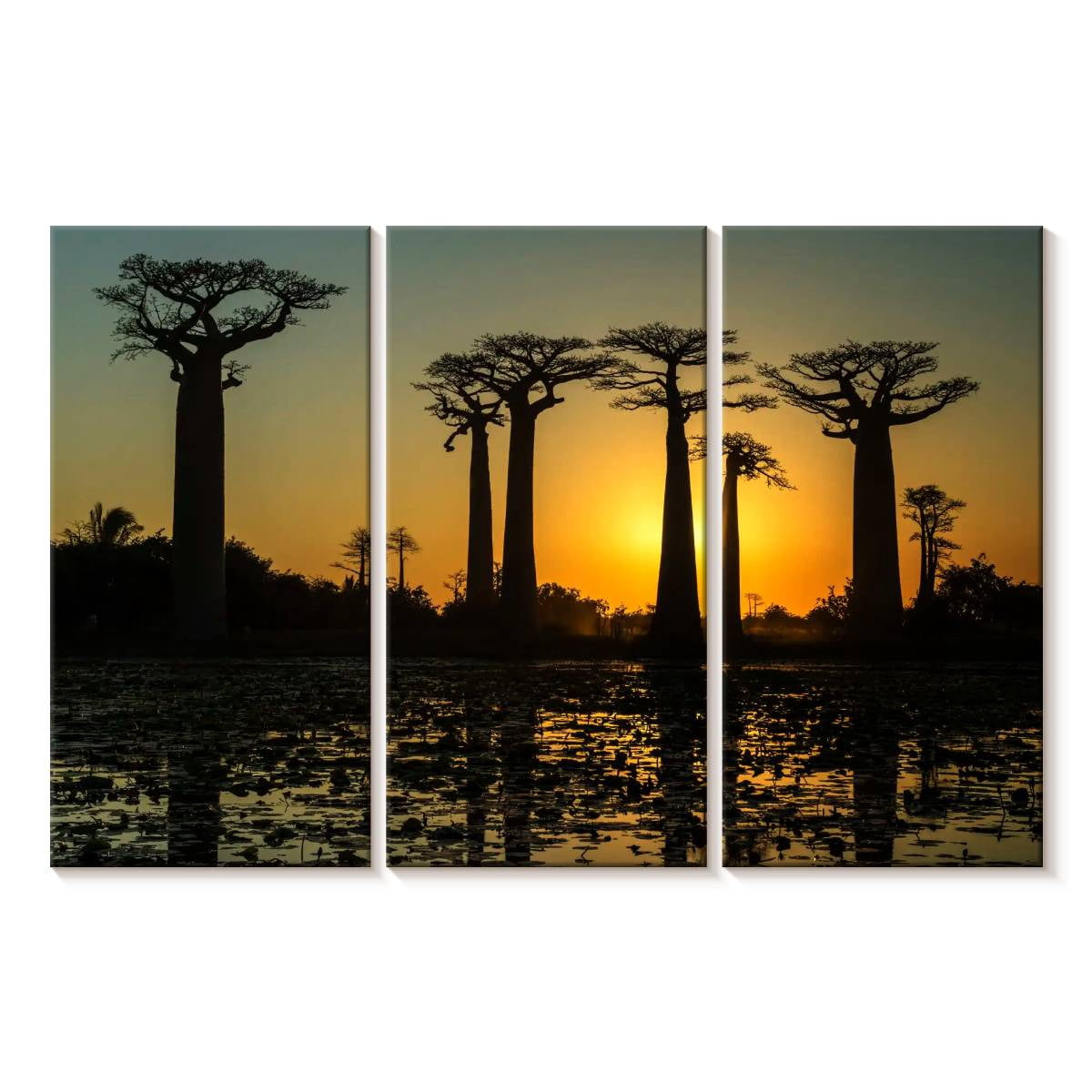 Elephant Stock Silhouetted Morondava Baobab Trees Wall Art - Horizontal ...