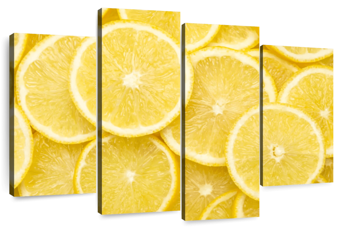 Elephant Stock Slices Of Lemon Wall Art - Horizontal Multi Panel Canvas ...