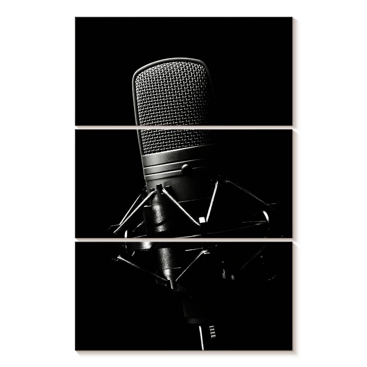 Elephant Stock Studio Microphone Wall Art - Vertical Multi Panel Canvas ...