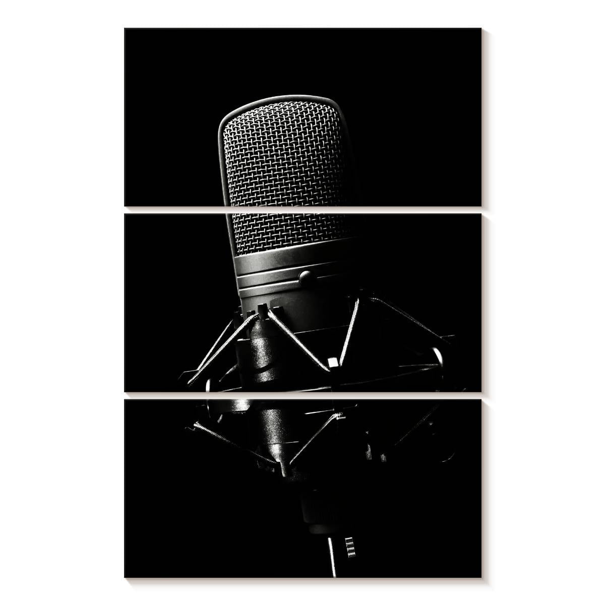 Elephant Stock Studio Microphone Wall Art - Vertical Multi Panel Canvas ...